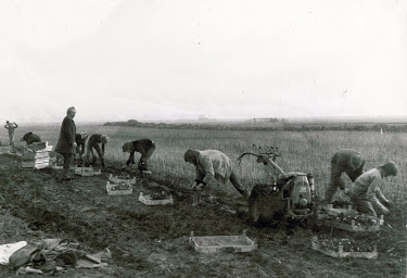 Had jij als 16-jarige een zomerbaantje? | SchoolBANK.nl - vind je oude ...